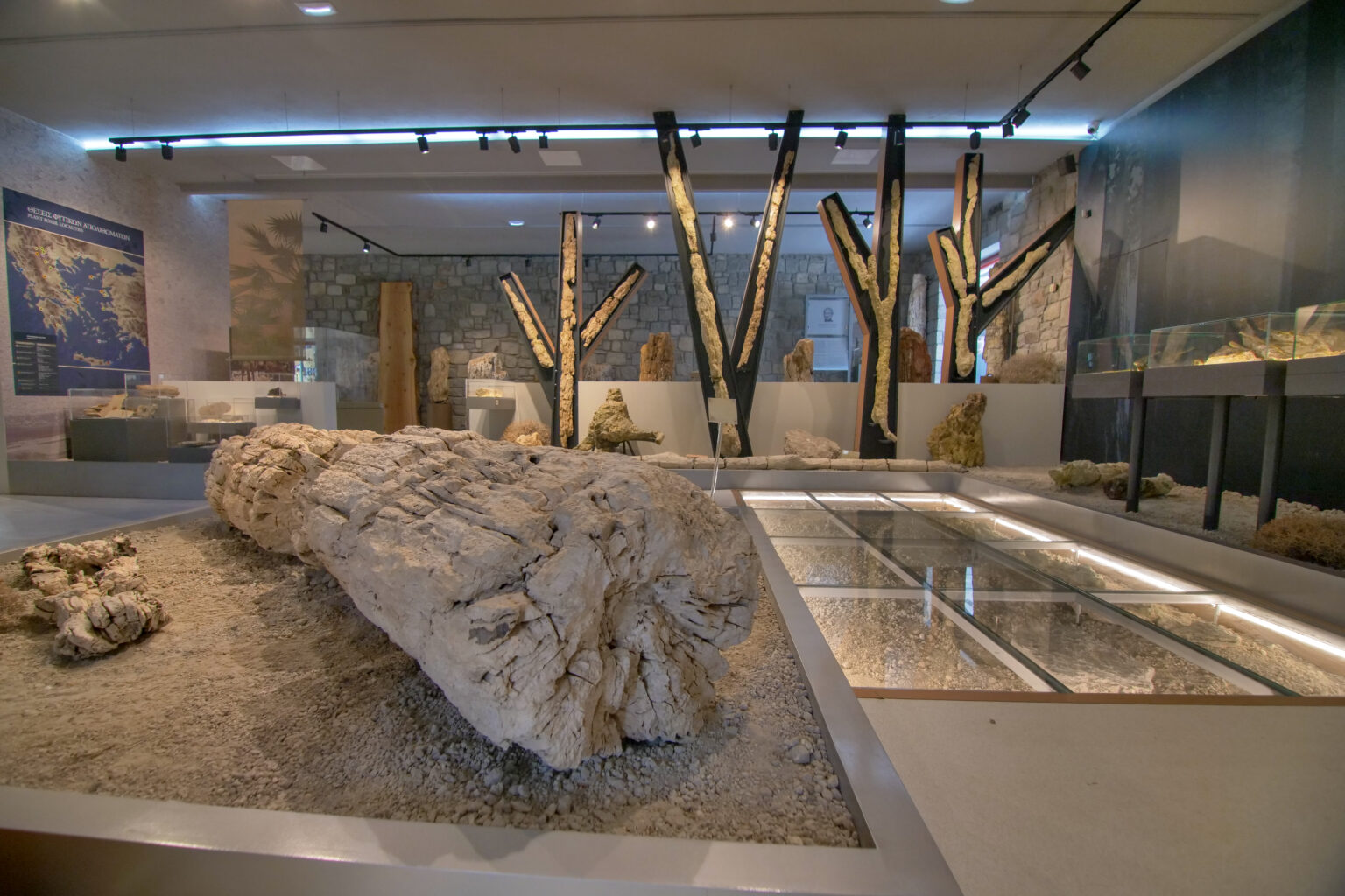 The Natural History Museum of the Lesvos Petrified Forest | Lesvos Geopark